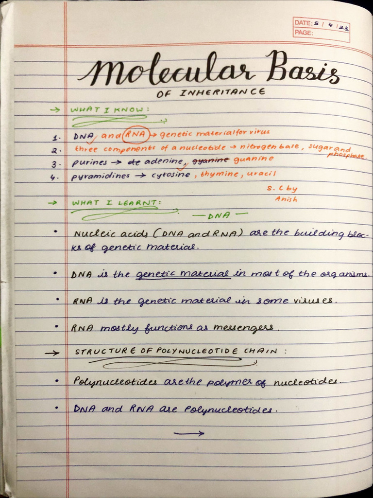 Molecular Basis - Notes | PDF