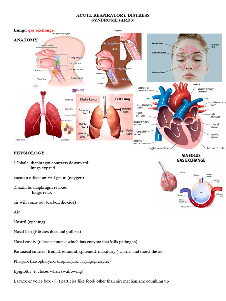 Understanding Acute Respiratory Distress Syndrome | PDF | Lung ...