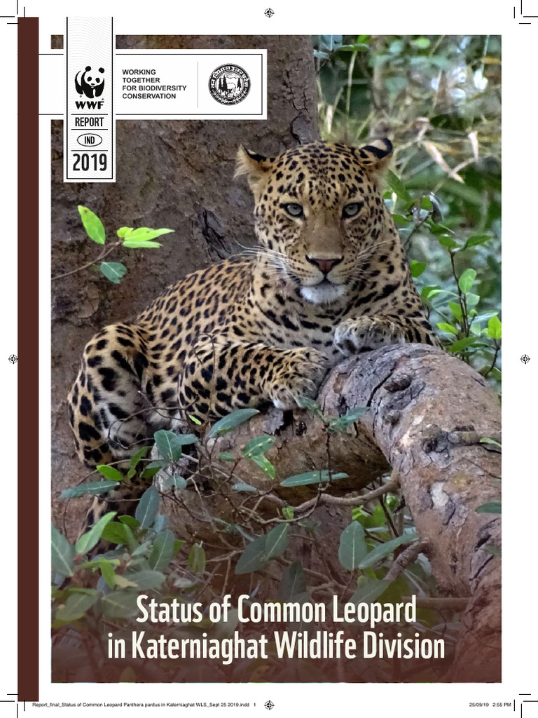 Status of Common Leopard in Katerniaghat Wildlife Division | PDF ...