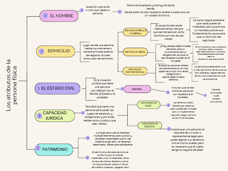Cuadro Sinóptico de Los Atributos de La Persona Física. | PDF | Derechos | Bienes (Ley)