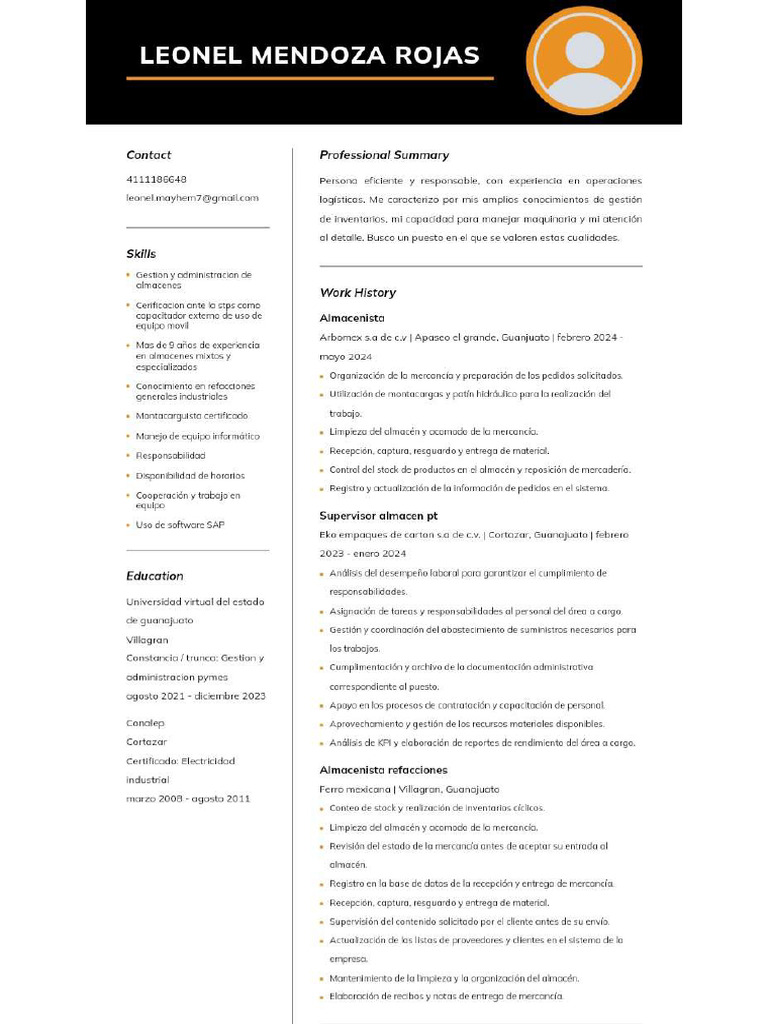 Cv actual leonel | PDF