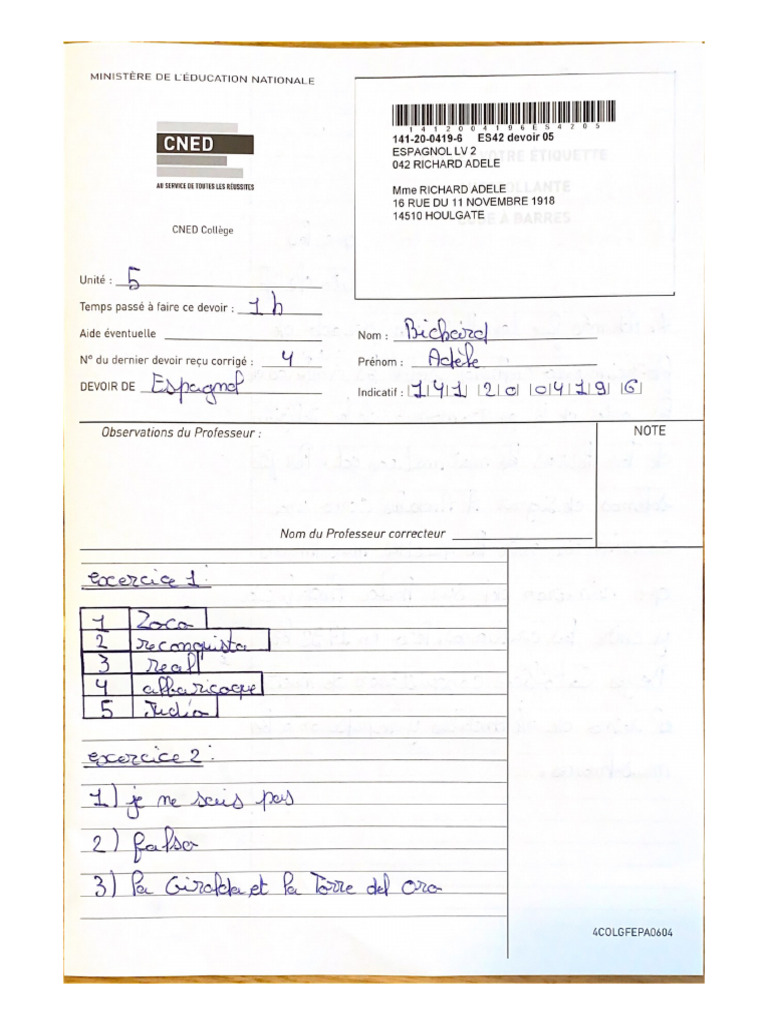 Devoir 5 Espagnol | PDF