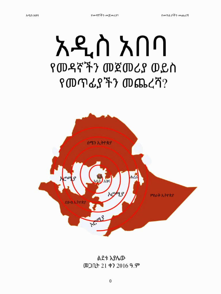 Addis Ababa Lidetu-Final | PDF