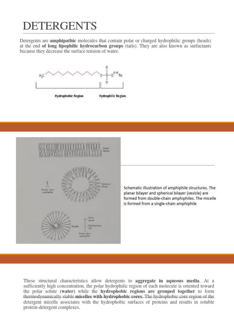 Detergents | PDF | Detergent | Lipid Bilayer