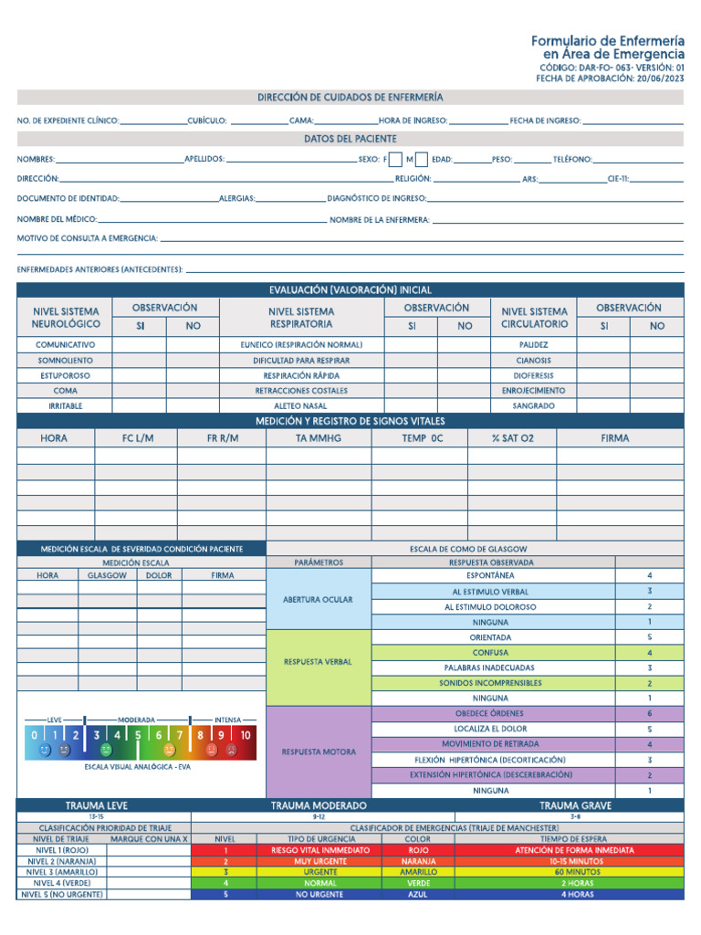 Dar Fo 063 v1 Formulario Control de Enfermeria en Emergencias (1) | PDF