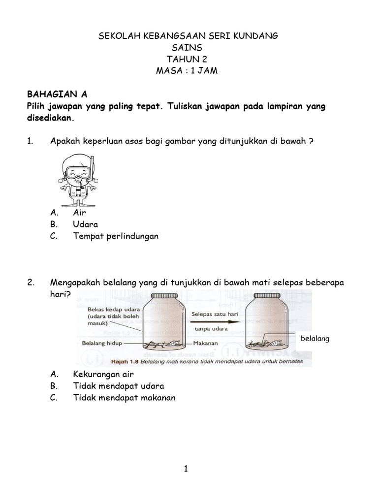 Set 1 Word Pdf