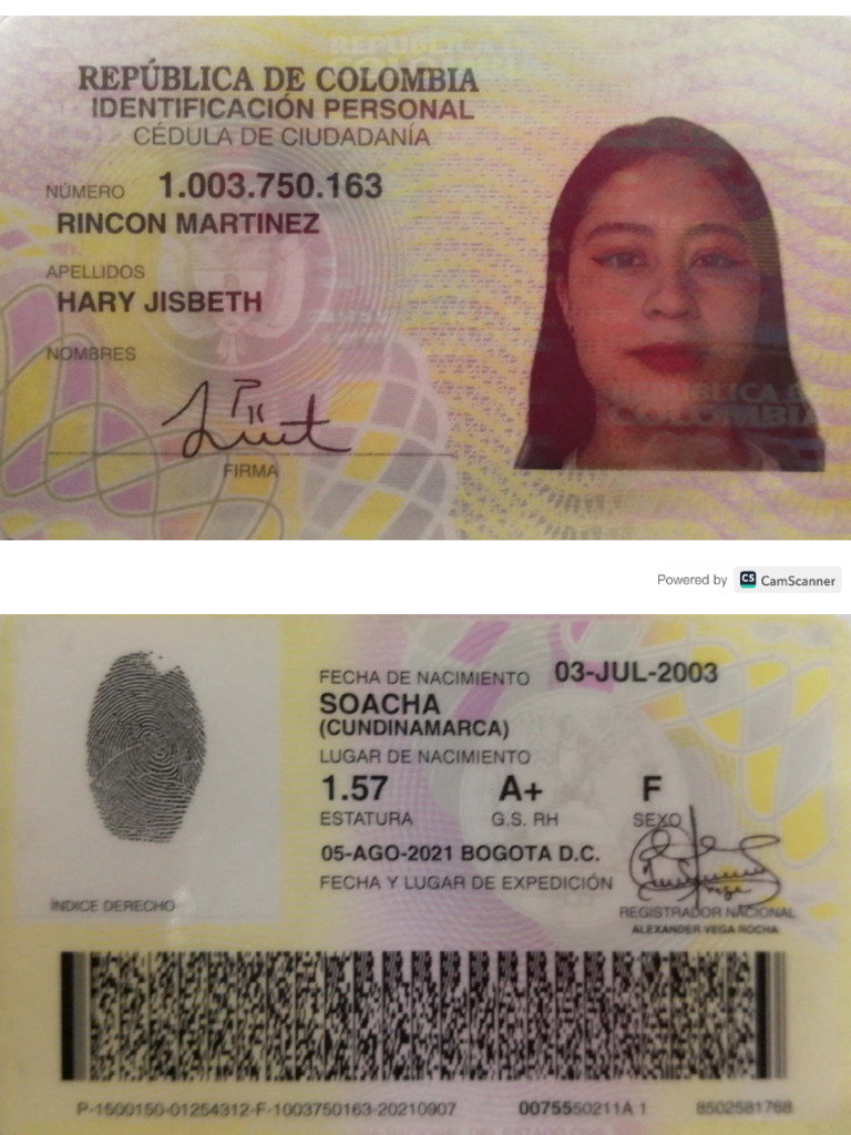 Tarjeta de ID 02-23-2024 17.19 | PDF