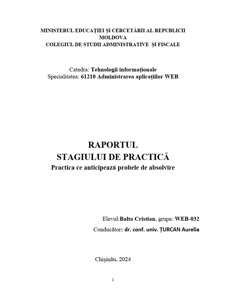 Raport Practica 2024 | PDF | Publishing | Printing