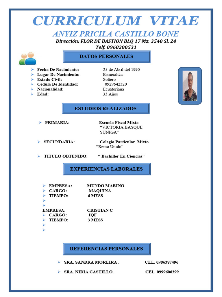 Curriculum Vitae Anyz Castillo | PDF
