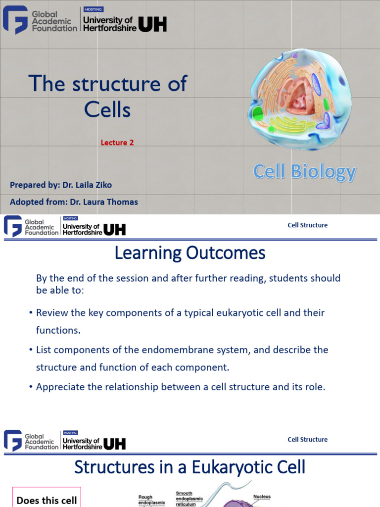 Lecture 2-Cell Structure - LZ | PDF | Cell (Biology) | Endoplasmic Reticulum
