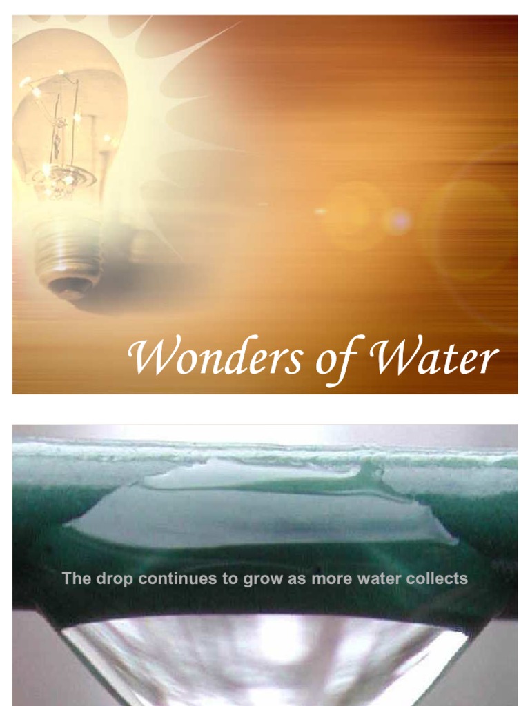 Wonders of Water | PDF | Human Body | Water