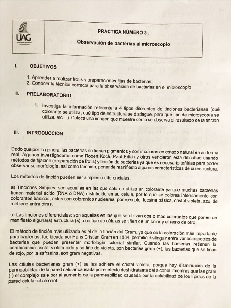 Práctica Lab 3 - Observación Bacterias 2023-02-14 02 - 19 - 10 | PDF