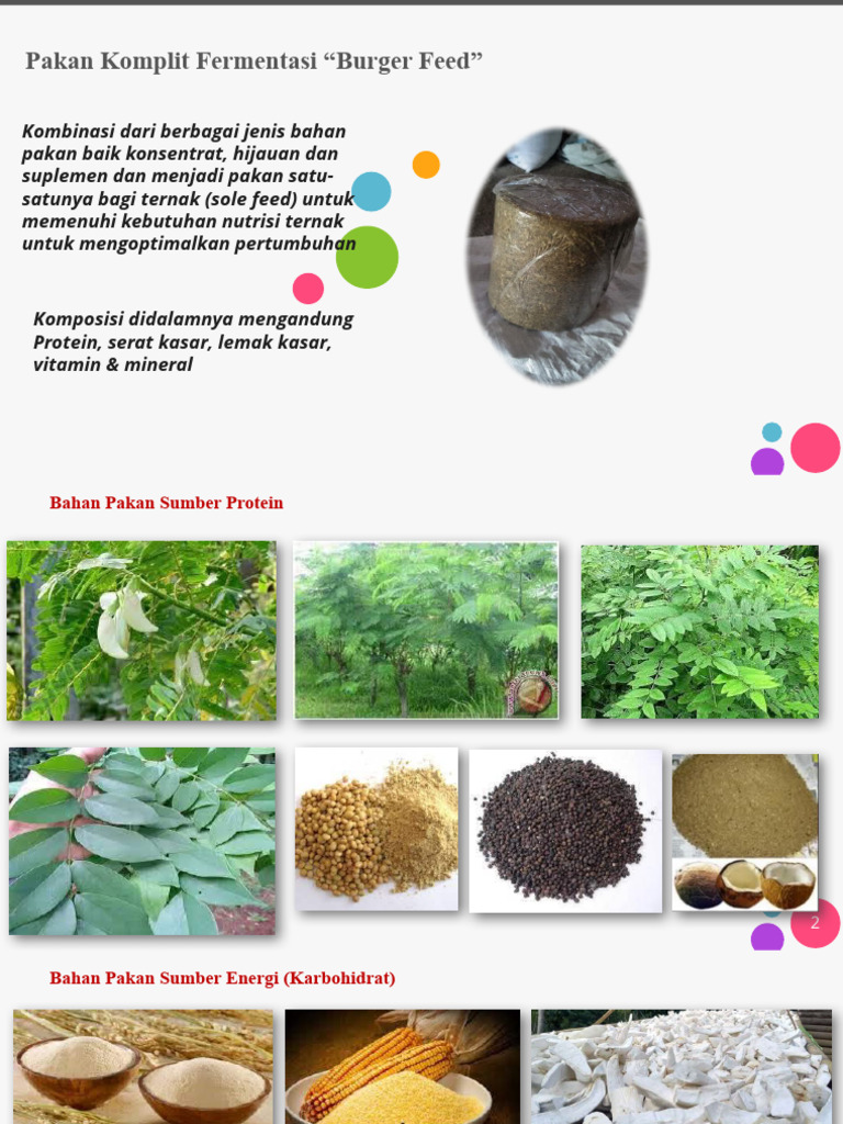 Konsentrat & Pakan Komplit Fermentasi | PDF | Teknologi & Rekayasa