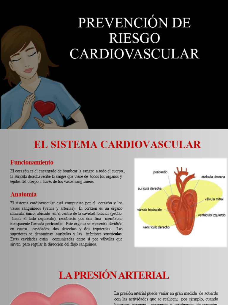 Capacitación de Riesgo Cardiovascular | PDF | Sistema circulatorio ...