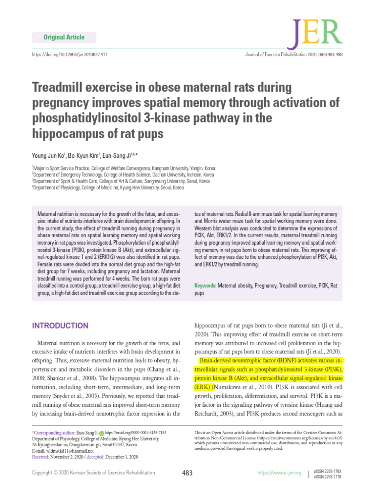 Ko Treadmill exercise in obese maternal rats during pregnancy improves ... Ko Treadmill exercise in obese maternal rats during pregnancy improves ...