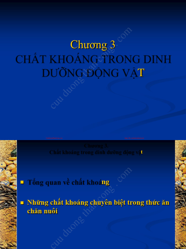 Dinh-Duong - Ngo-Hong-Phuong - C4-Cha - T-Khoa - Ng-Trong-Dinh-Duo - Ng-Do - Ng-Va - T ...