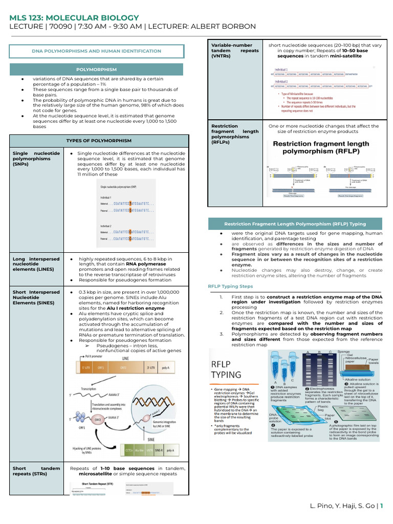 MLS 12 - Lecture 10 | PDF | Microsatellite | Single Nucleotide Polymorphism