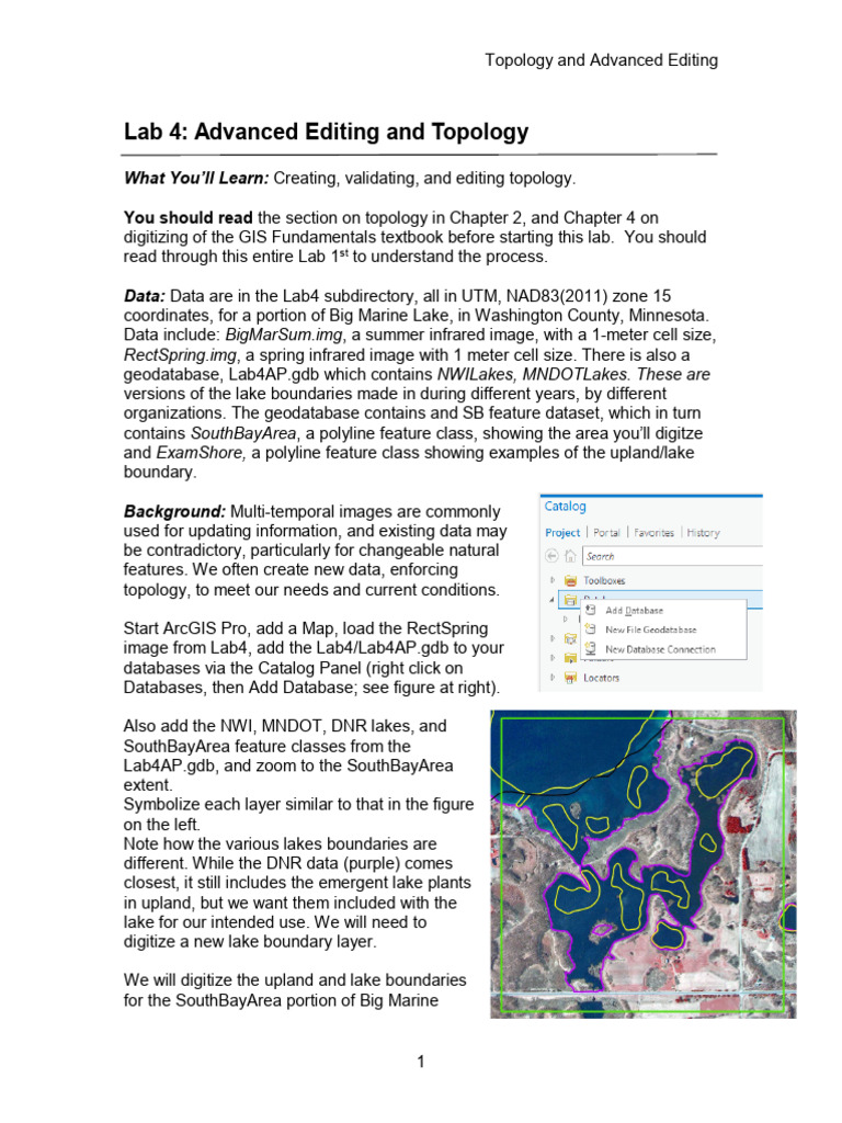 L4 TopologyArcPro | PDF | Arc Gis | Vertex (Geometry)