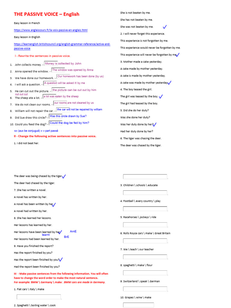 17032021 the Passive Voice Exercises | PDF