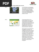 Ava'S - Amazon Rainforest Brochure | PDF | Amazon Rainforest | Trees