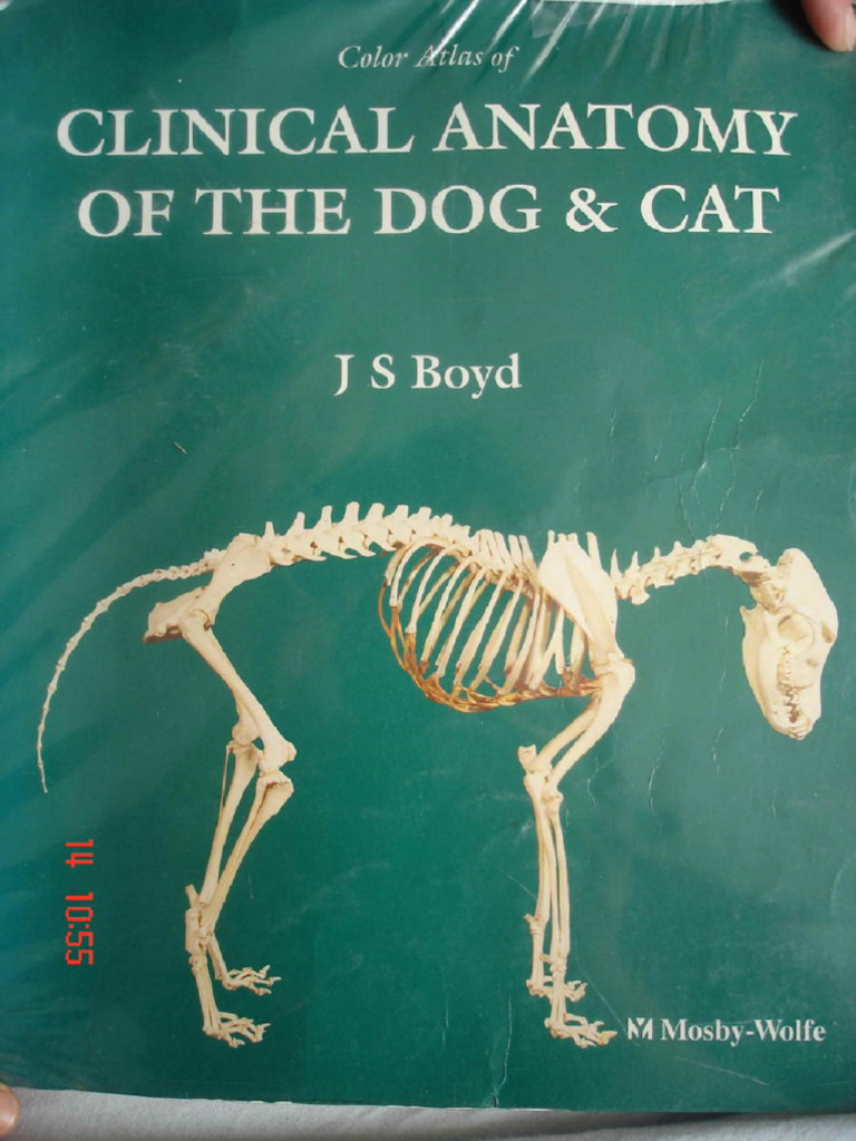 Color Atlas of Clinical Anatomy of The Dog Cat | PDF