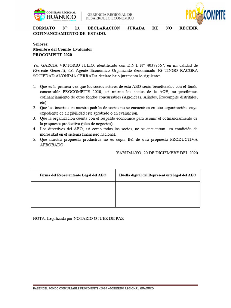 Formato 13 | PDF