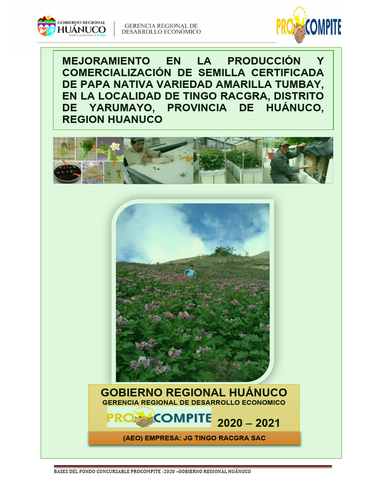 Plan de Negocios Yarumayo - Semilla Aeroponico-Final | PDF | Agricultura | Patata