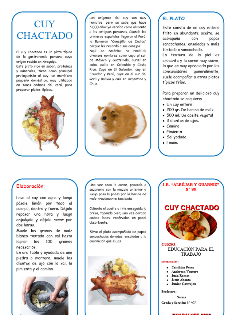 Agro - Cuy Chactado | PDF | Conejillo de indias | Maíz