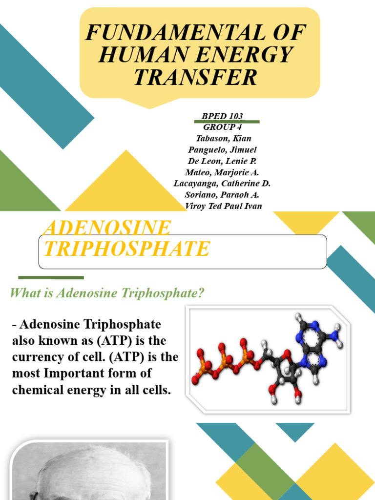 Bped 103 Group 1 Fundamental of Human Energy Transfer - (Group 4 ...