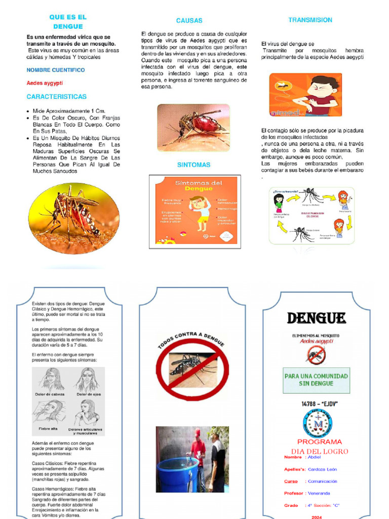 Triptico Del Dengue | PDF
