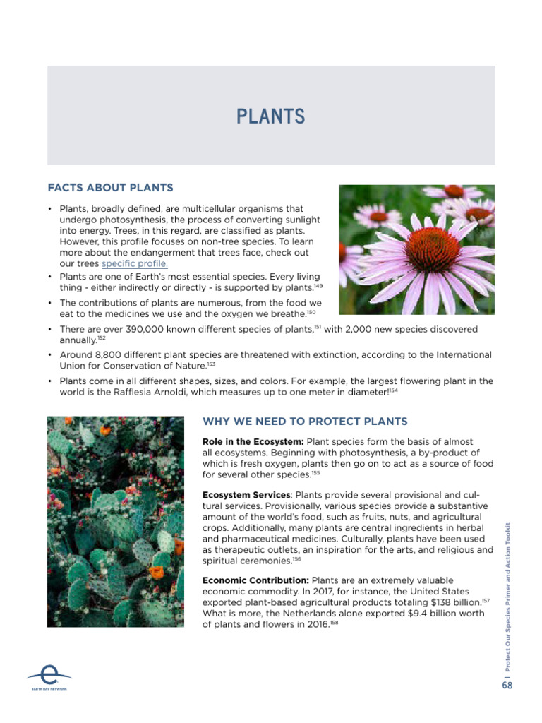 plants | Download Free PDF | Plants | Invasive Species