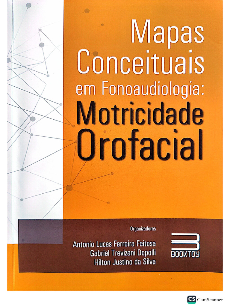 Mapas Conceituais MO Escaneado | PDF