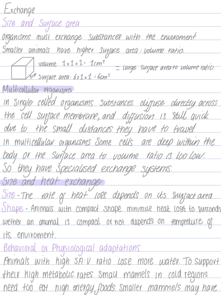 Exchange | PDF | Stoma | Leaf