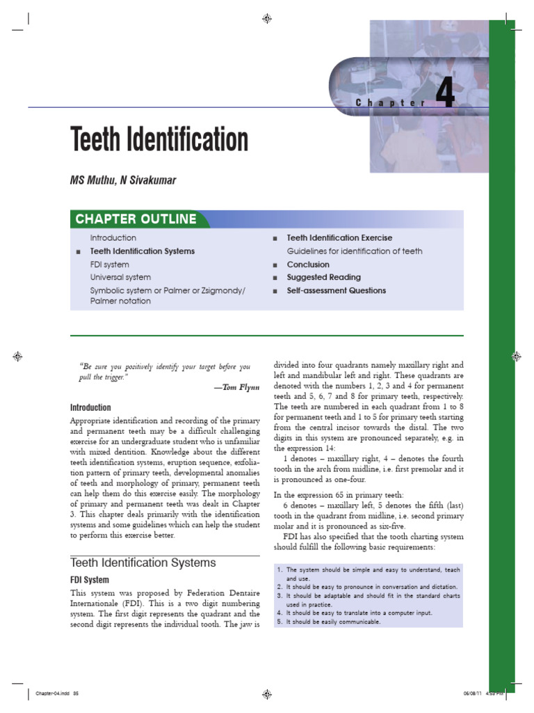 Chapter 04 | PDF | Tooth | Human Tooth