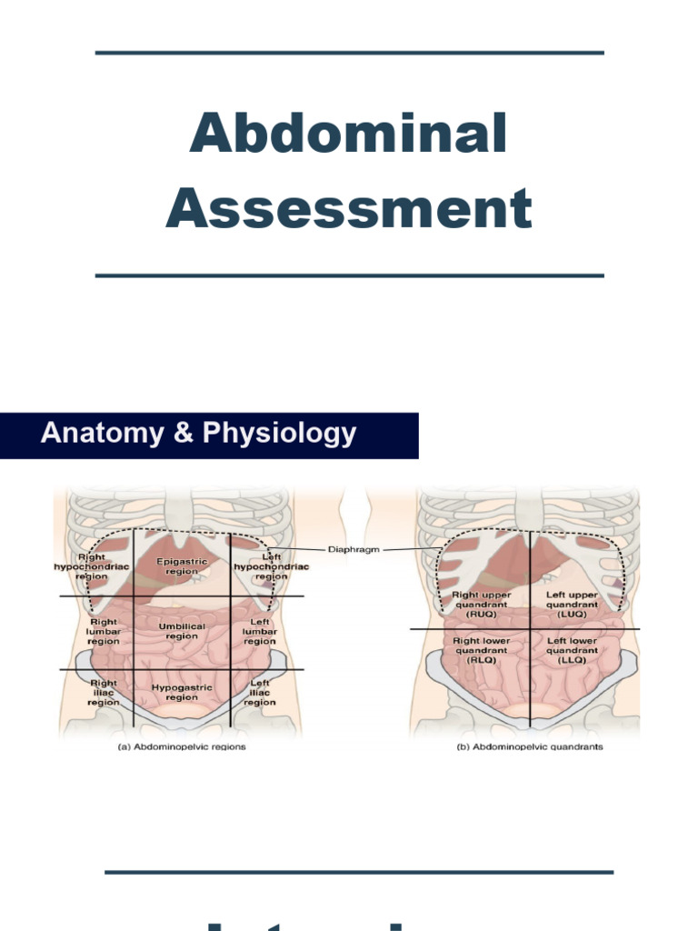 HA Module 2 L3 Abdominal Assessment 2 | PDF | Abdomen | Medical Specialties