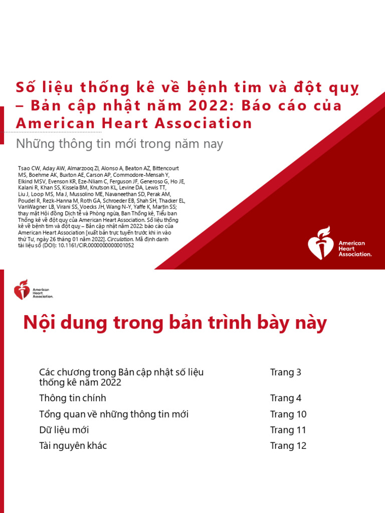 2022 Stat Update Whats New Vietnamese | PDF