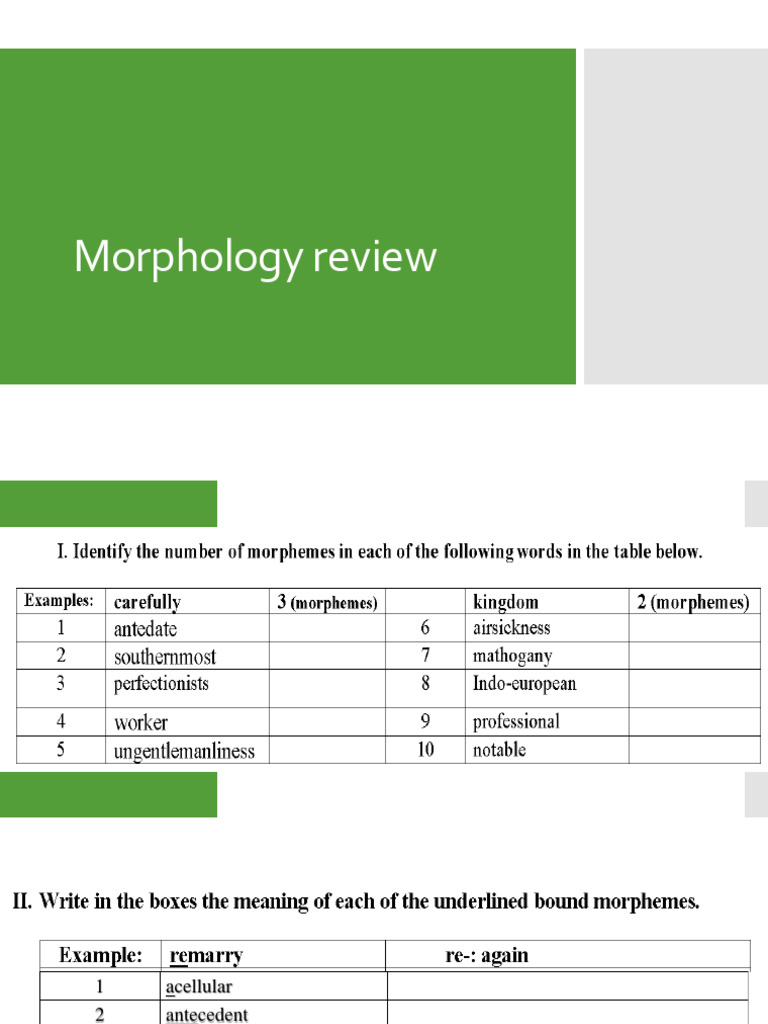 PPT (2) | PDF | Word | Morphology