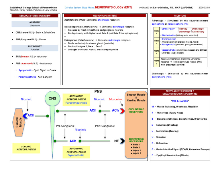 GS Neurophysiology EMT | PDF | Acetylcholine | Autonomic Nervous System