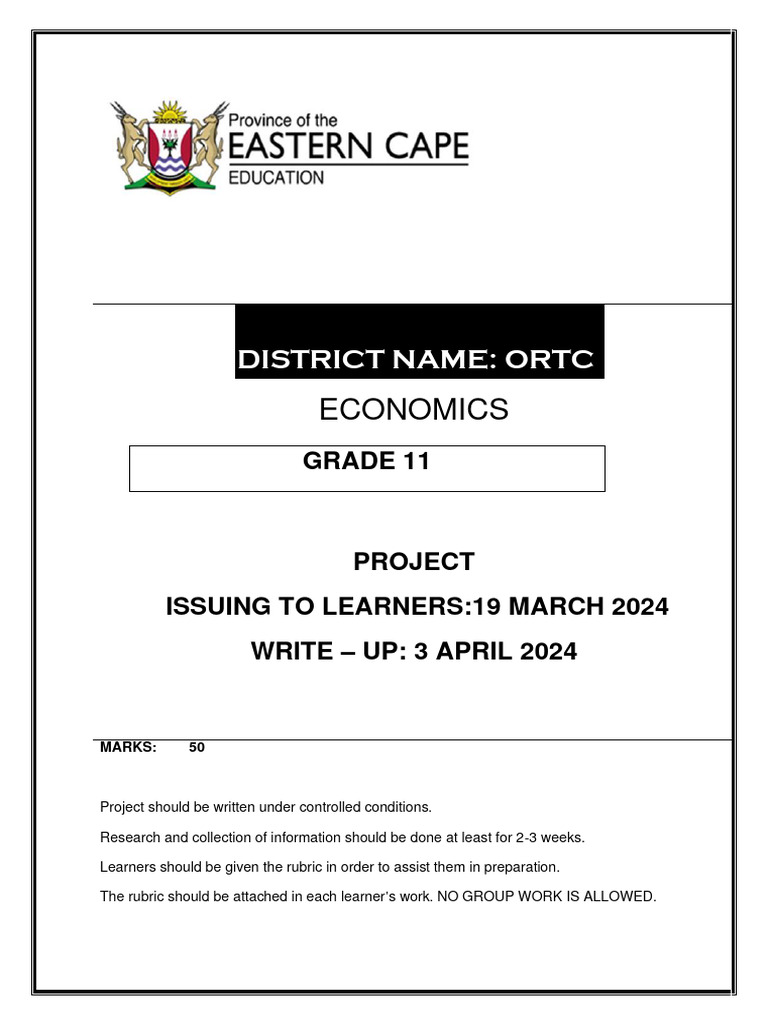 ECONOMICS PROJECT GRADE 11 2024 term 2 | PDF | Profit (Economics ...