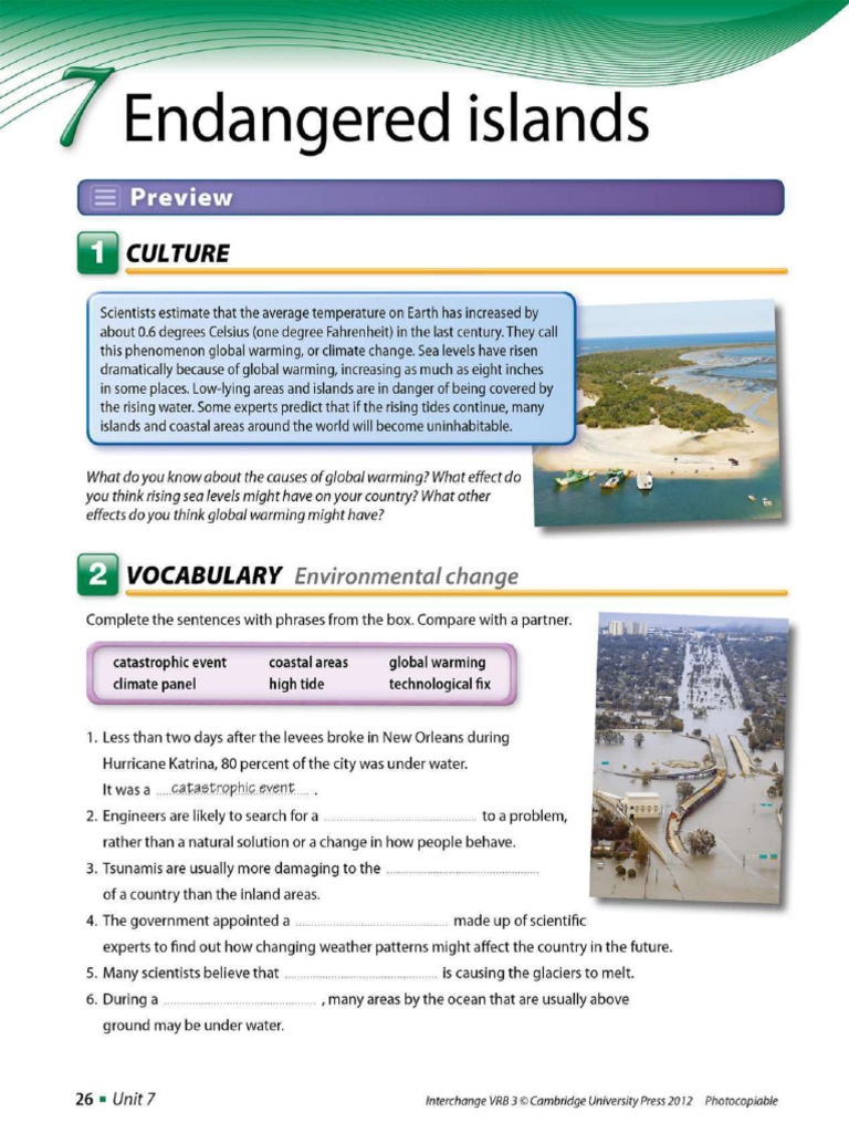 Video Activity Worksheets - Unit 7 | PDF