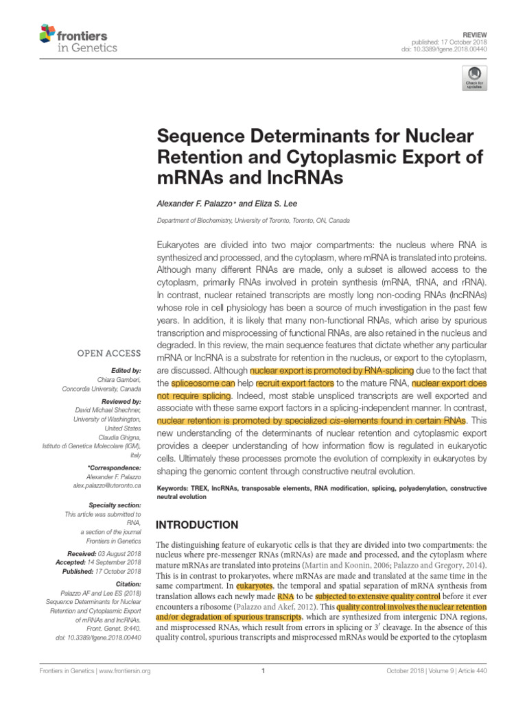 RNA Export and Retention Mechanisms | PDF | Messenger Rna | Rna Splicing