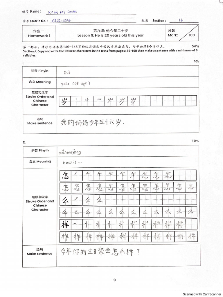 Mandarin - Section 13 - Homework 1 | PDF