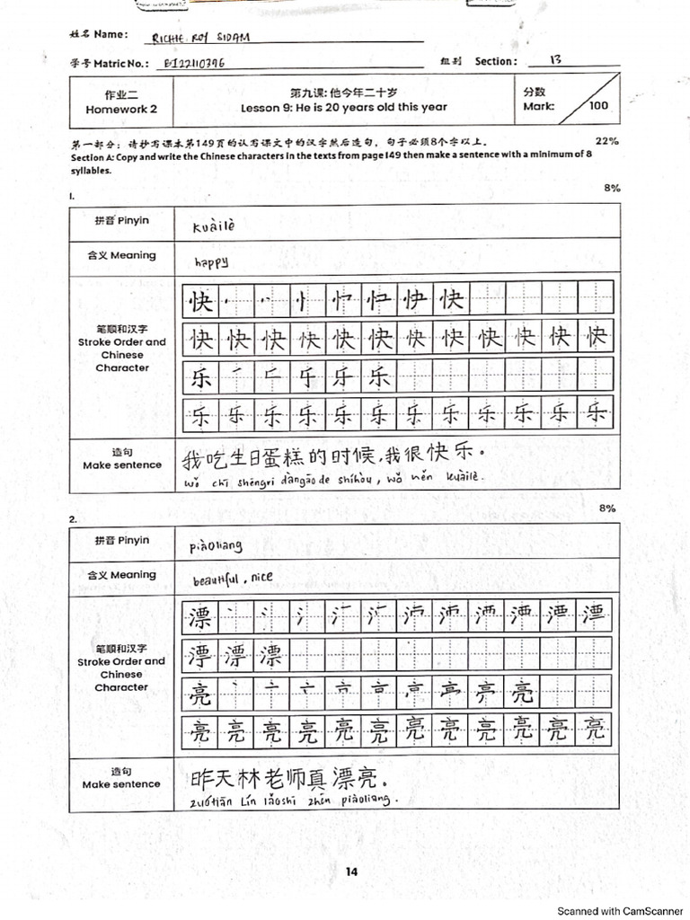 Mandarin - Section 13 - Homework 2 | PDF