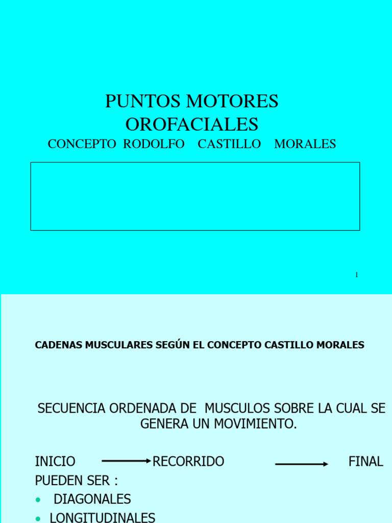 Puntos Motores Orofaciales-Castillo Morales | PDF | Mano | Cráneo