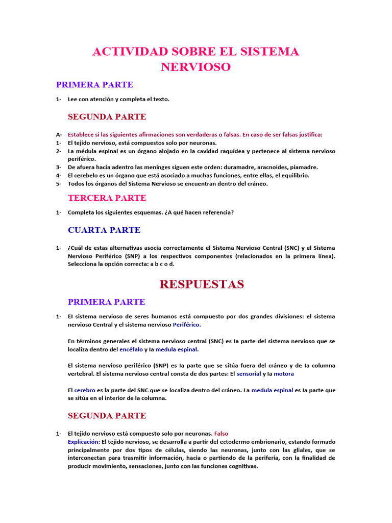 Actividad Sobre El Sistema Nervioso Biologia Clara Somma 2-1 Cic | PDF | Sistema nervioso ...