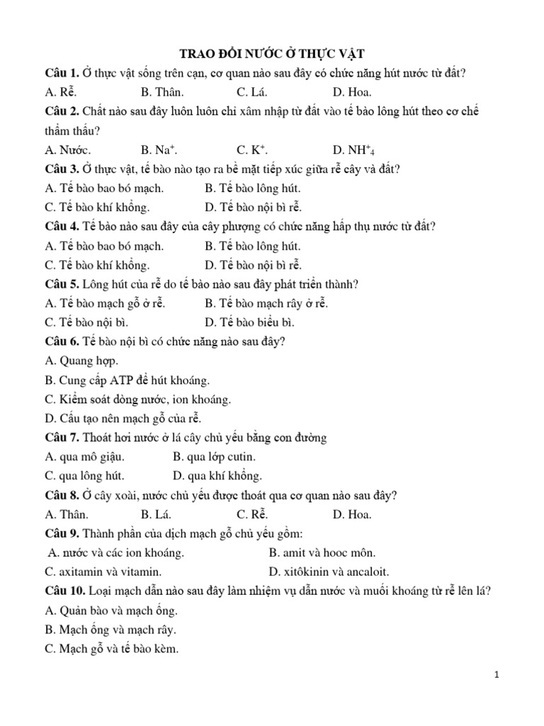 TRAO I N C TH C V T PDF