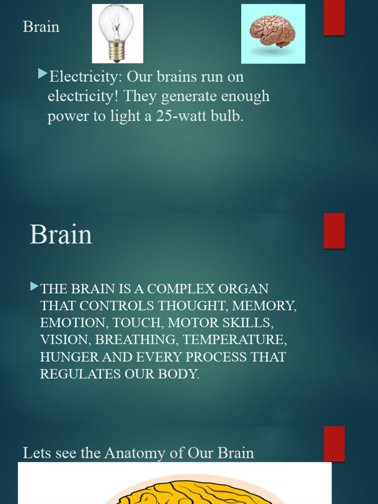 Brain Microscopy Lieca | PDF | Career & Growth | Self-Improvement