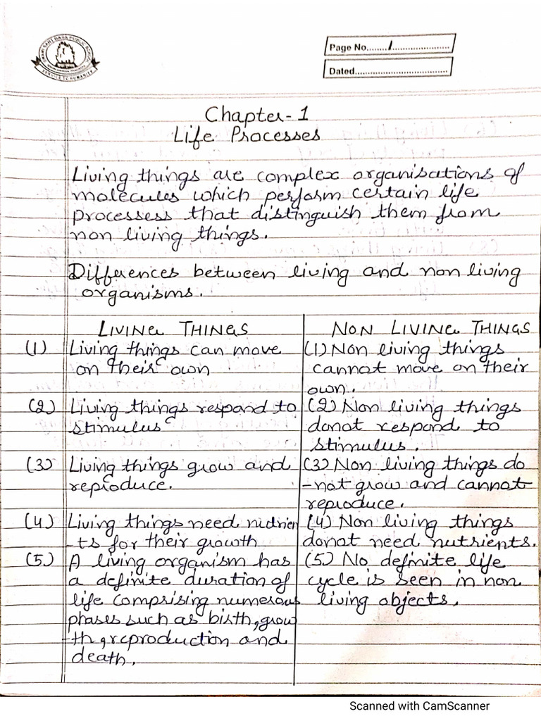 Chapter Life Processes Notes | PDF