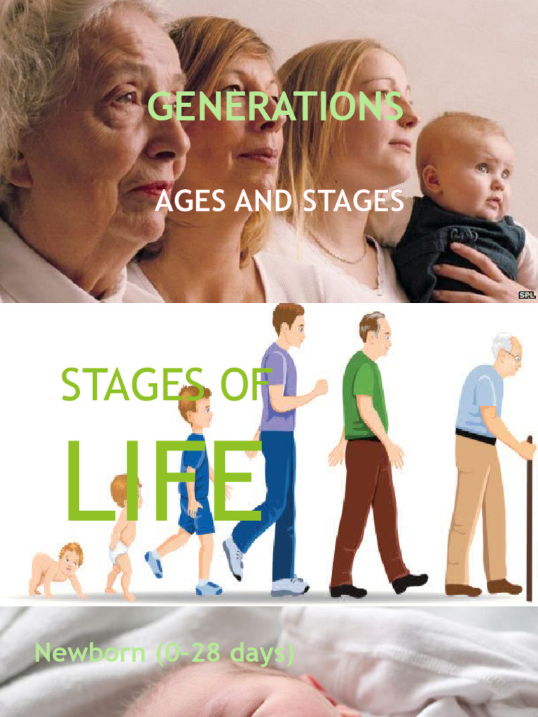 Generations Ages and Stages of Life Flashcards Picture Dictionaries ...