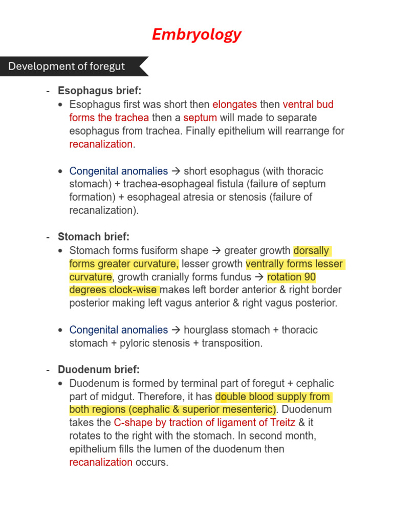 Embryology of GIT | PDF | Pancreas | Liver